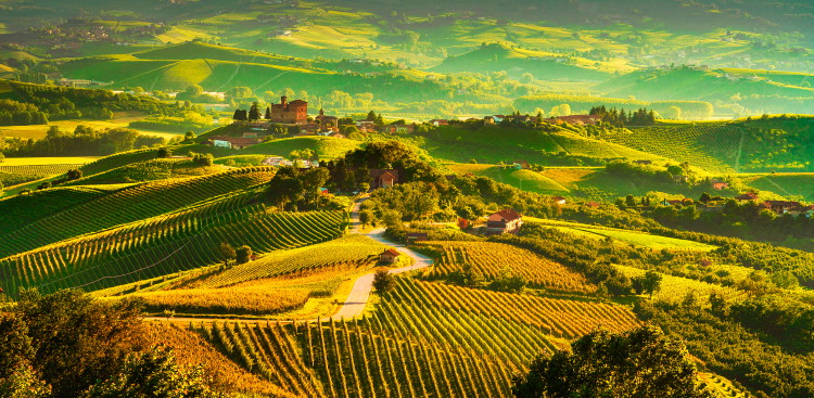 2023 Marzagaglia Primitivo Gioia del Colle DOC - Tenuta Patruno ...