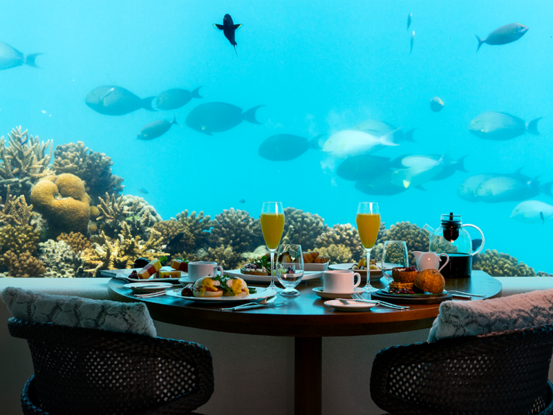 Culinary Highlights: Dining underwater on Huvafen Fushi - Falstaff
