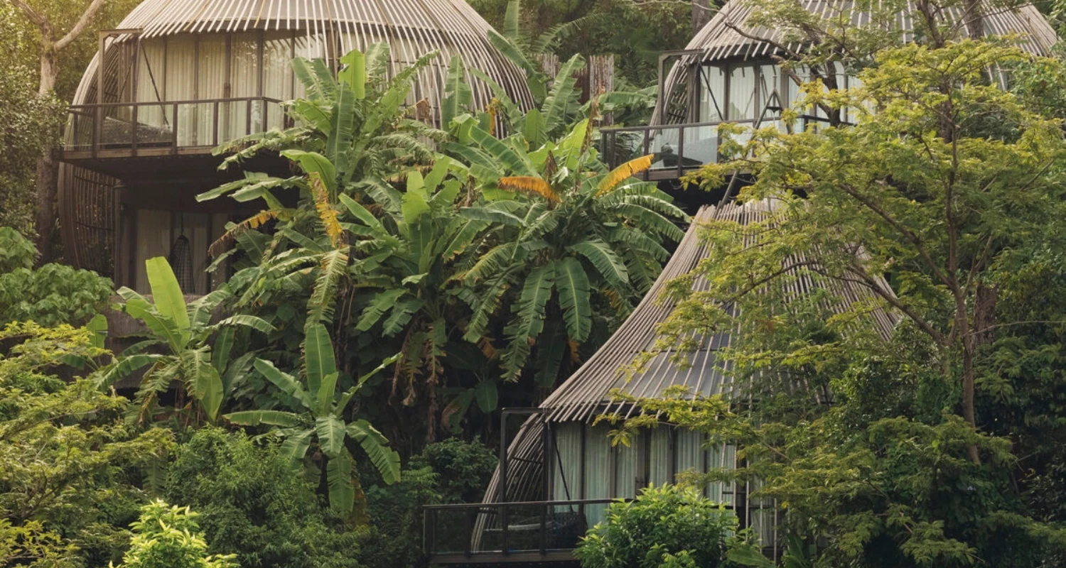 Spend the Night Between Treetops: The World's Most Beautiful Tree ...
